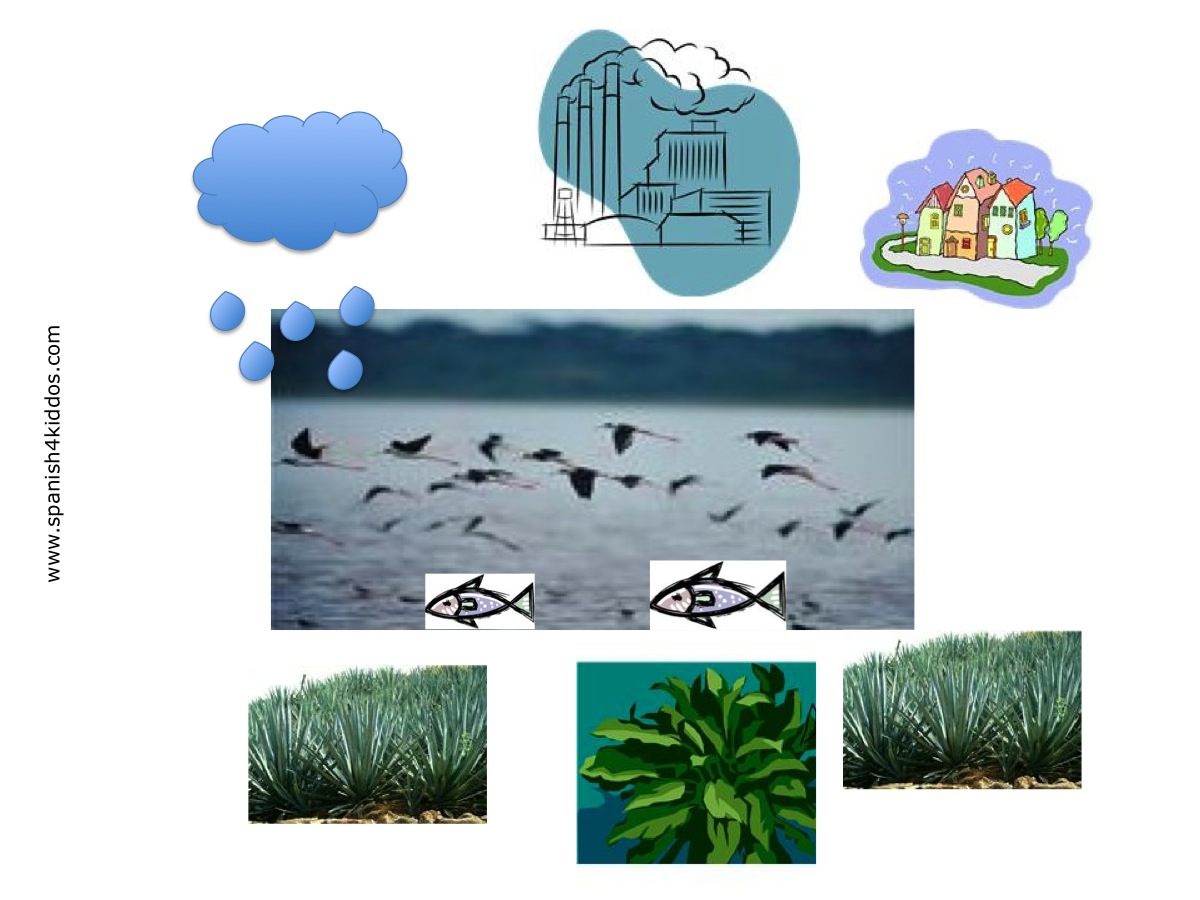 Venn Diagram Ecology